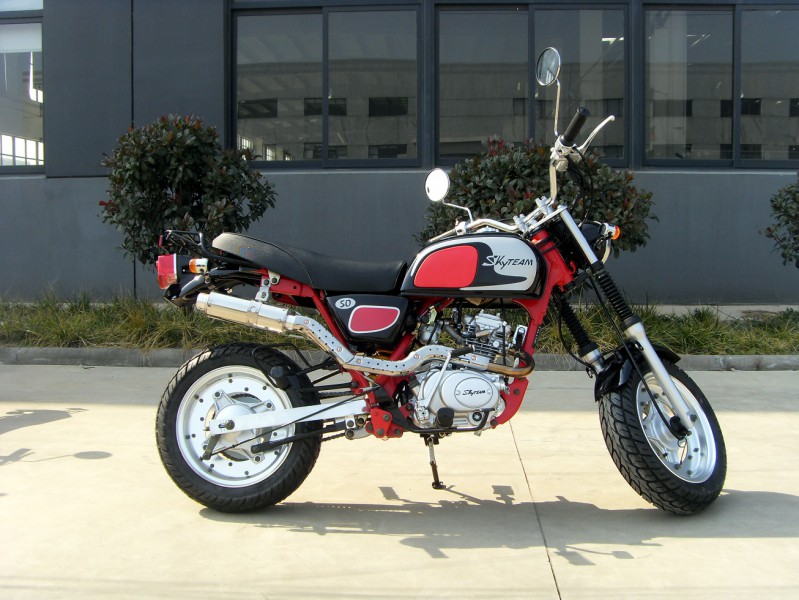 Skyteam Cobra 50 - ST50-10 - 2 Personen Zulassung Skyteam Motorrad 50cc ...